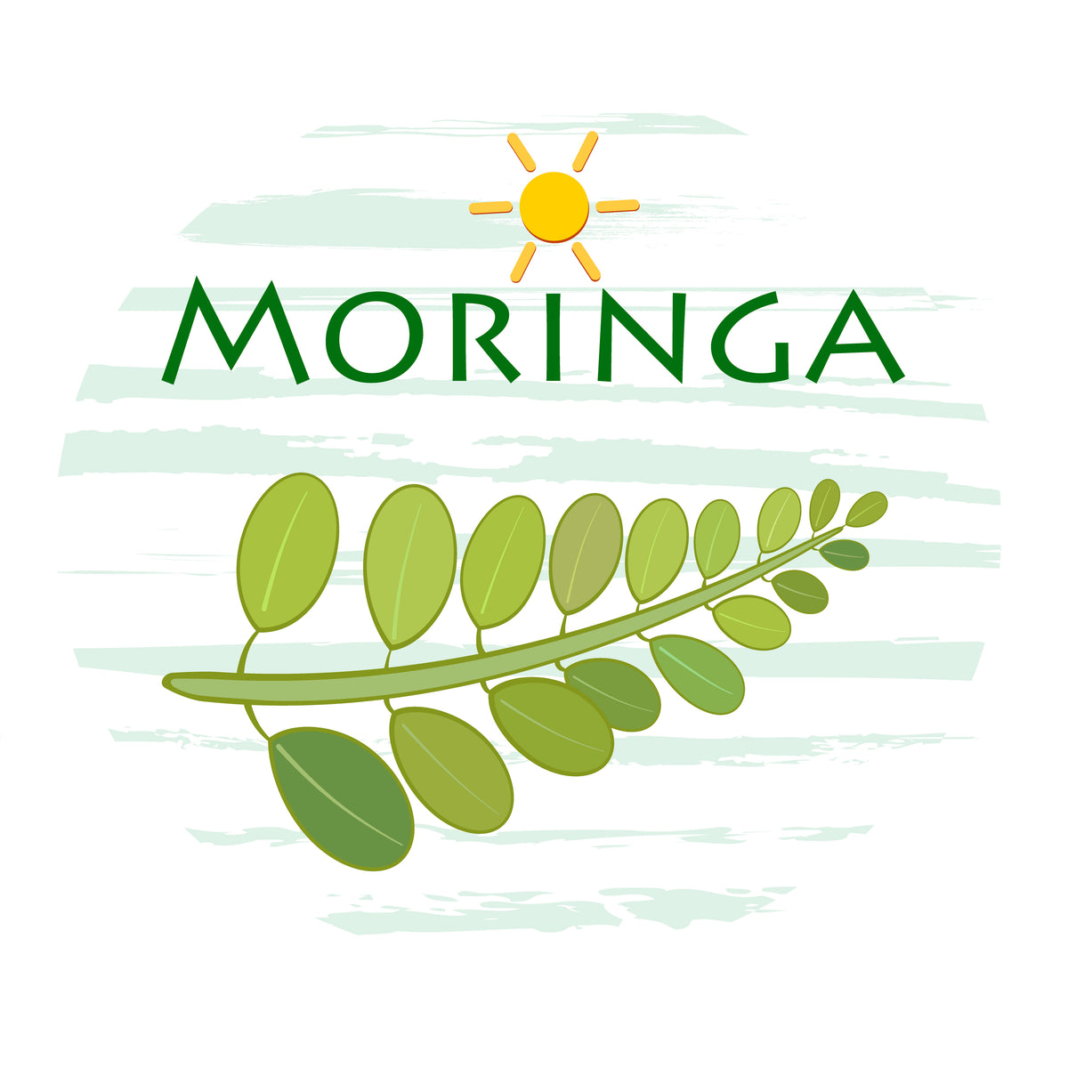Canadian Moringa by Super Tom
