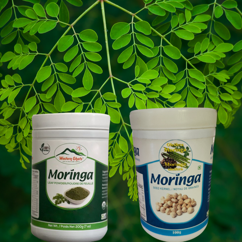 Moringa Root | Seeds | Trees – Canadian Moringa